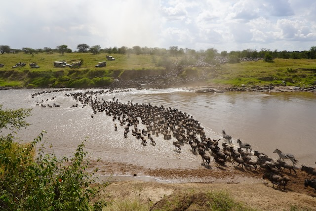 Stunning Kilimanjaro Reviews | Read Kiyoh reviews about https://www ...